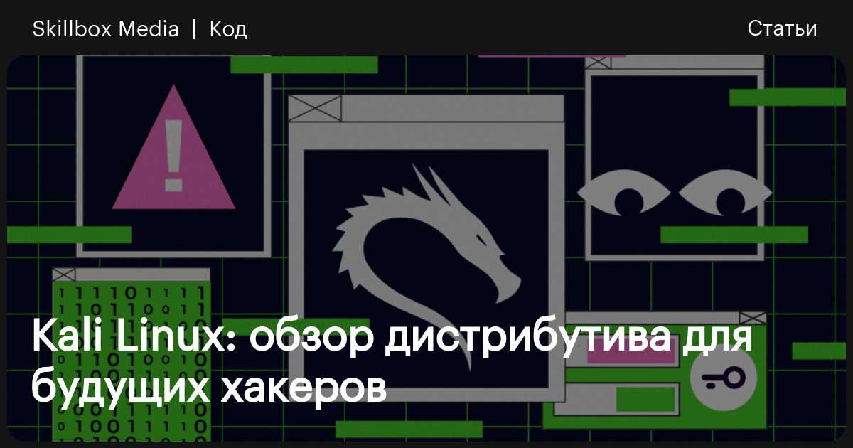 Kali Linux для начинающих: обзор ОС для будущих хакеров / Skillbox Media