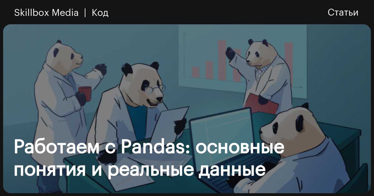 Работаем с Pandas: основные понятия и реальные данные / Skillbox Media