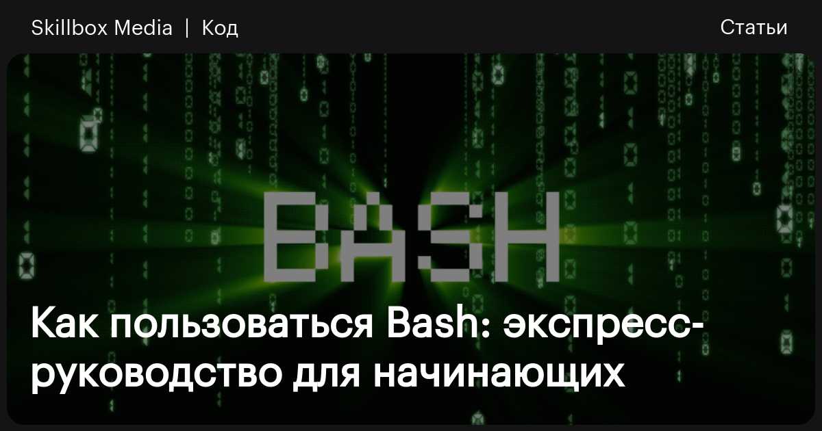 Основы Bash в Linux: что это за командная оболочка и как с ней работать — пишем первый скрипт ...