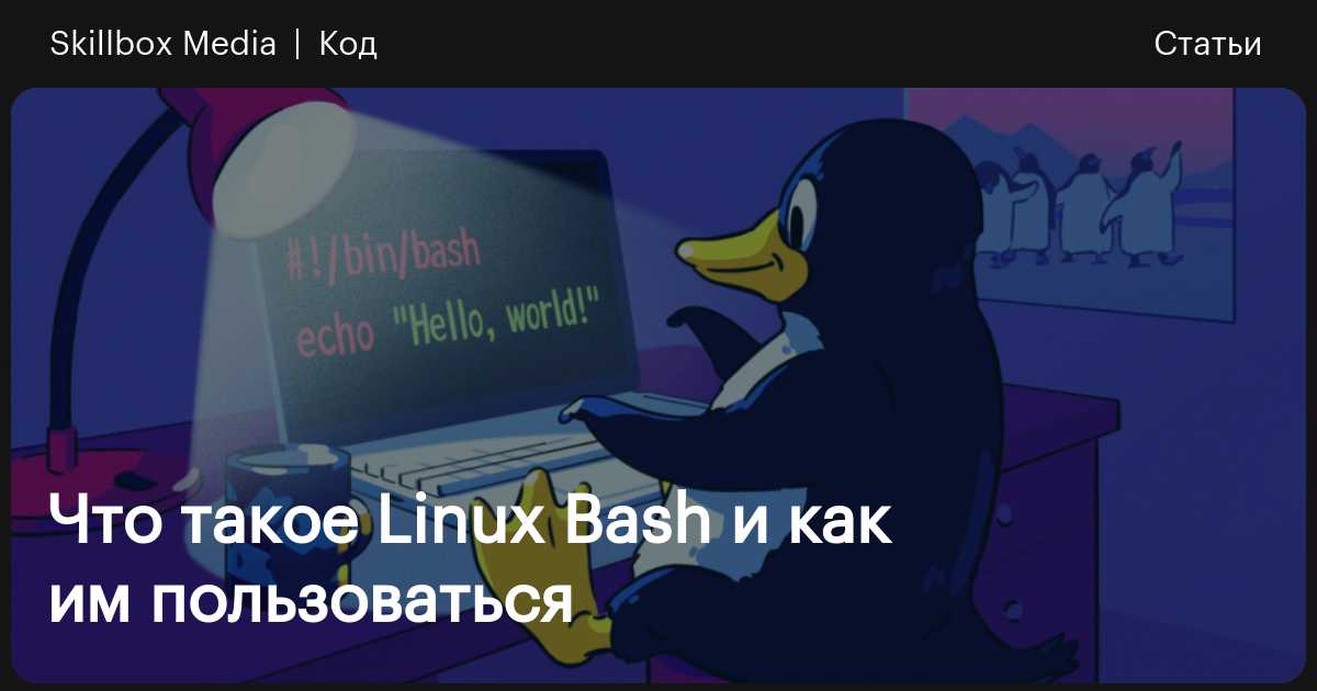 Скрипты Linux Bash для начинающих: как их писать, запускать и использовать / Skillbox Media