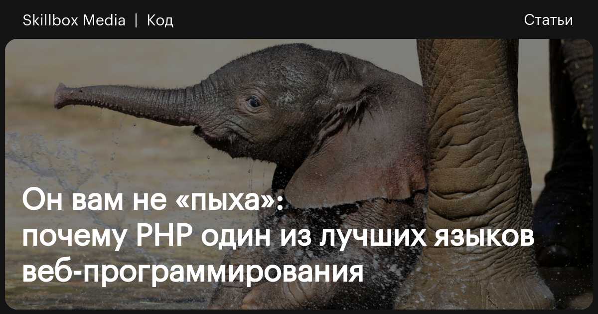 Почему PHP один из лучших языков веб-программирования / Skillbox Media