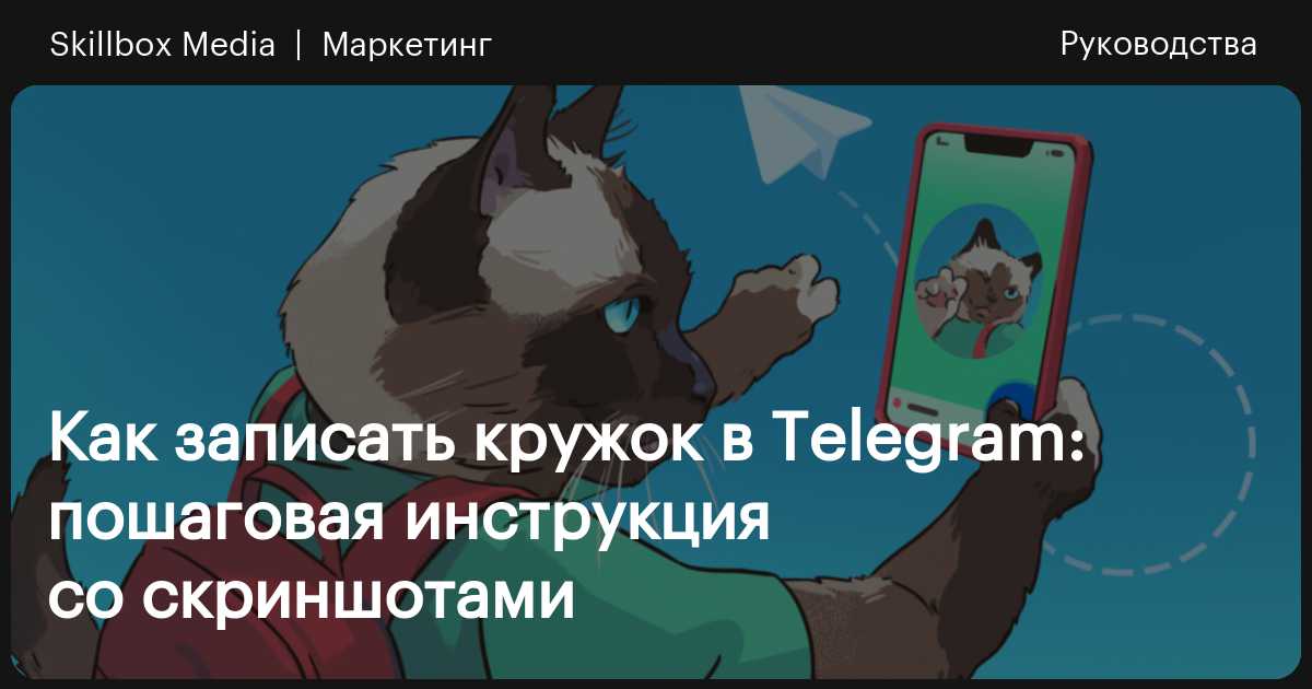 Как записать кружок в Telegram: пошаговая инструкция / Skillbox Media
